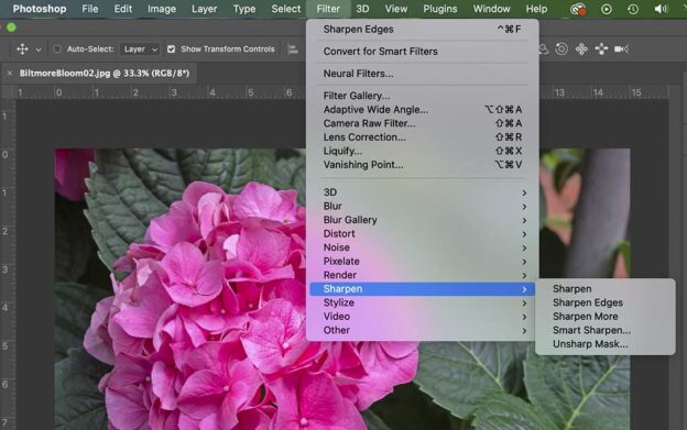 24 Tips for Taking Tack Sharp Photos