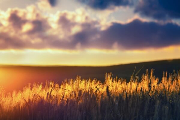 How to Take Stunning Landscape Photos: 12 Pro Tips + Camera Settings