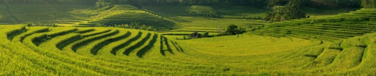 Landscape Photography: The Ultimate Guide with Pro Tips