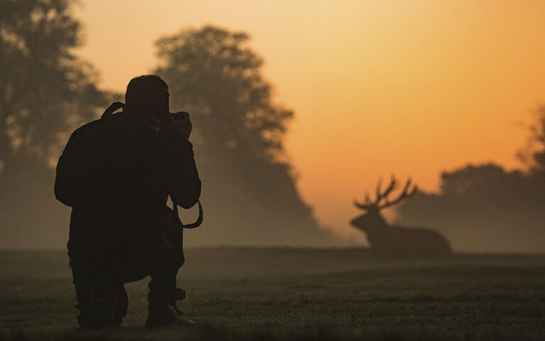 Wildlife Photography: The Ultimate Guide for Beginners