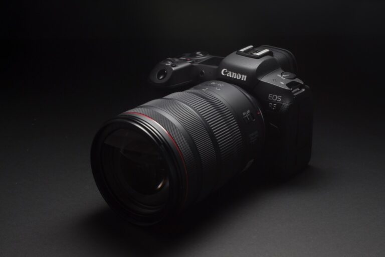 The Best Cameras for Family Photography