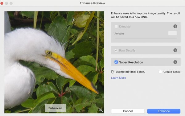 How to Photograph Birds