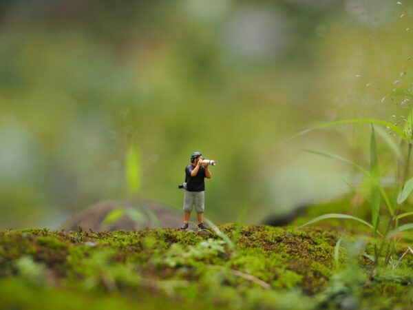 Miniature Photography: Guide for Making Creative Photos