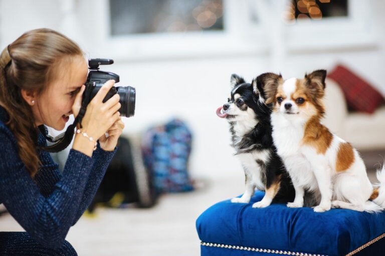 How to Photograph Pets