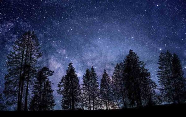 How to Edit Night Photos in Lightroom