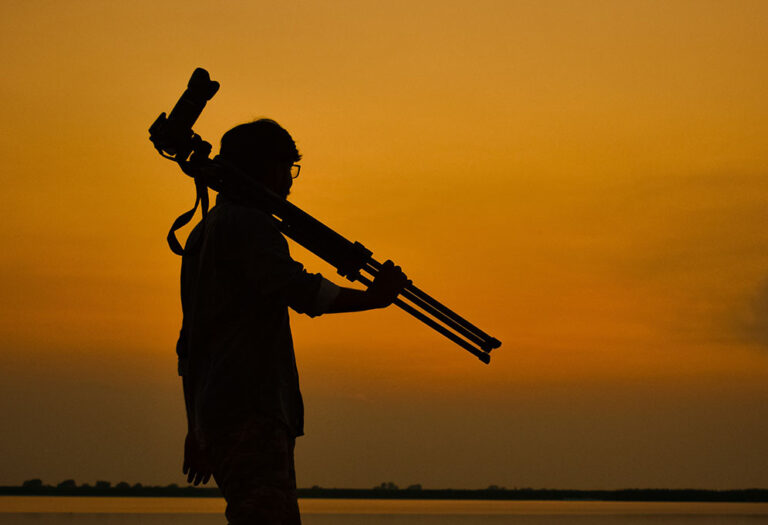 7 Best Cameras for Wildlife Photography