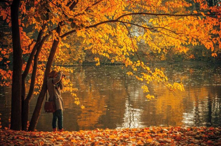 Autumn Photography: 19 Tips for Success