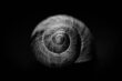 Contemporary Photography: Definitions and Styles