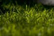 15 Types of Camera Shots and Angles in Photography