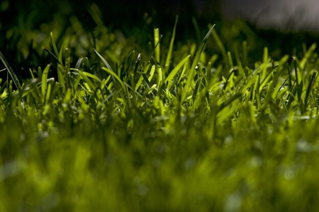 15 Types of Camera Shots and Angles in Photography