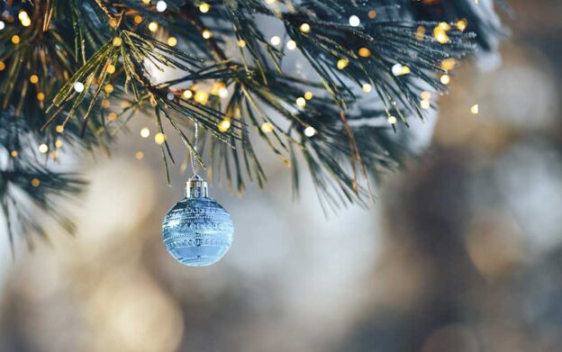 30 Tips and Ideas for Festive Holiday Photos