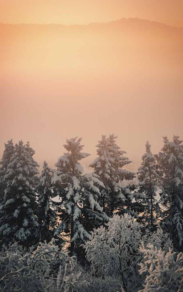 Snow Photography: 14 Tips for Taking Pictures in Snow