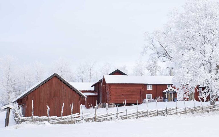 Snow Photography: 14 Tips for Taking Pictures in Snow