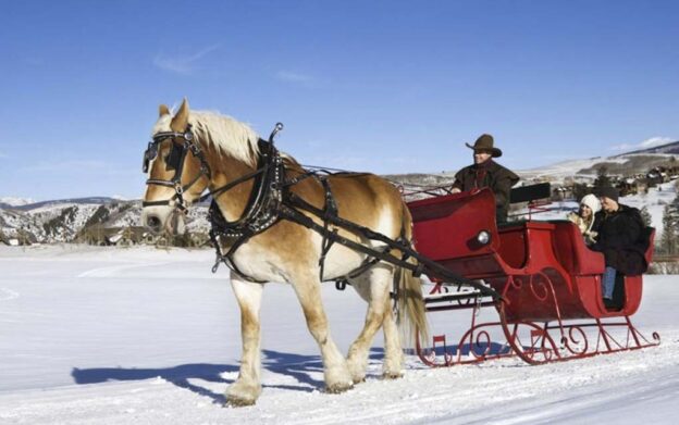 30 Tips and Ideas for Festive Holiday Photos