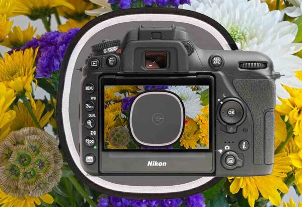 How to Use a Gray Card for Photography