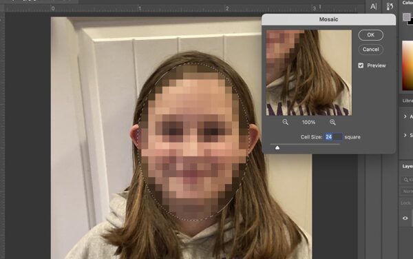 What is Pixelization?