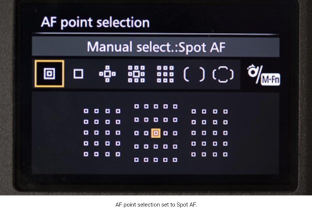 One Shot vs AI Focus vs AI Servo: Which Autofocus Mode Is Best?