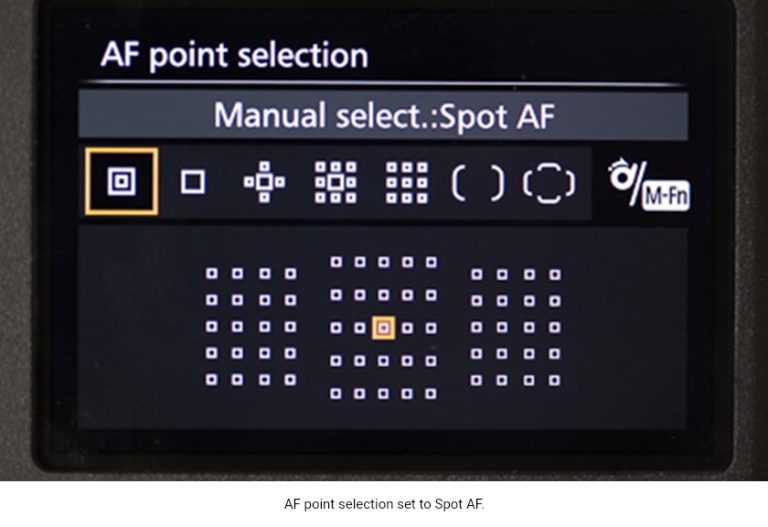 One Shot vs AI Focus vs AI Servo: Which Autofocus Mode Is Best?