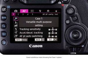 One Shot vs AI Focus vs AI Servo: Which Autofocus Mode Is Best?