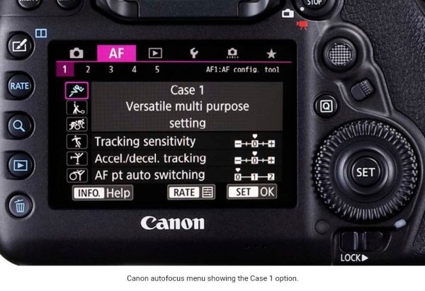 One Shot vs AI Focus vs AI Servo: Which Autofocus Mode Is Best?