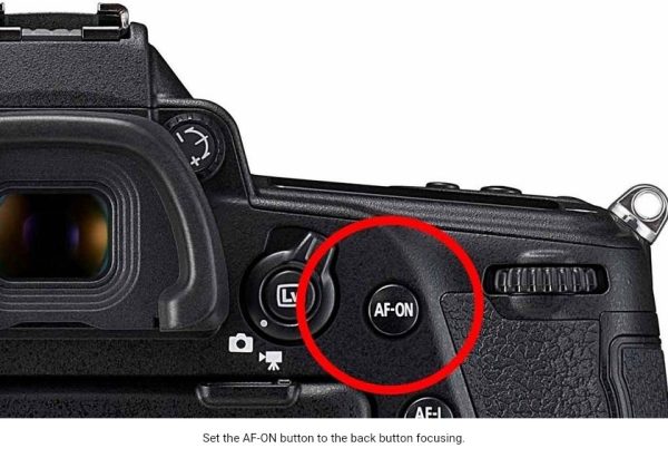 One Shot vs AI Focus vs AI Servo: Which Autofocus Mode Is Best?