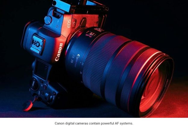 One Shot vs AI Focus vs AI Servo: Which Autofocus Mode Is Best?