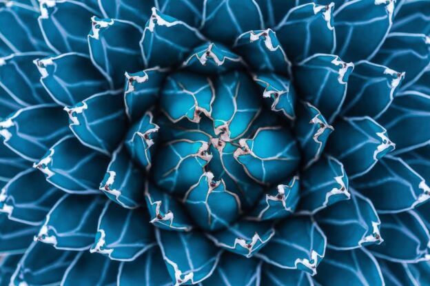 22 Essential Photography Composition Rules