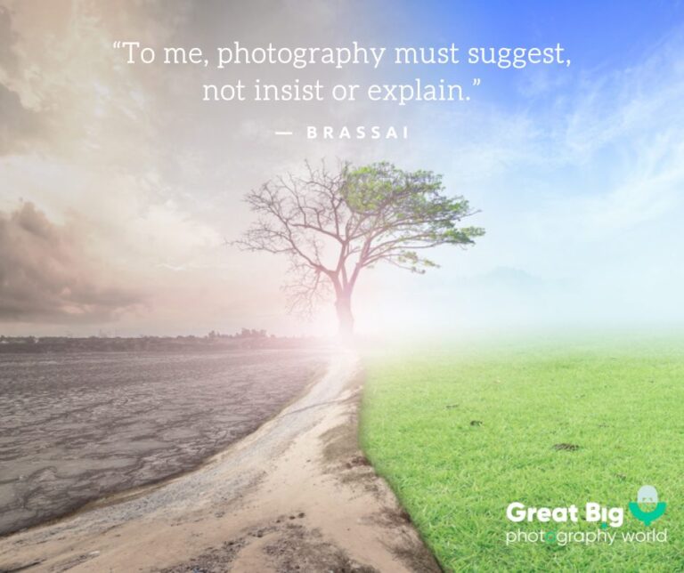 149 Inspirational Photography Quotes to Ignite Your Creativity