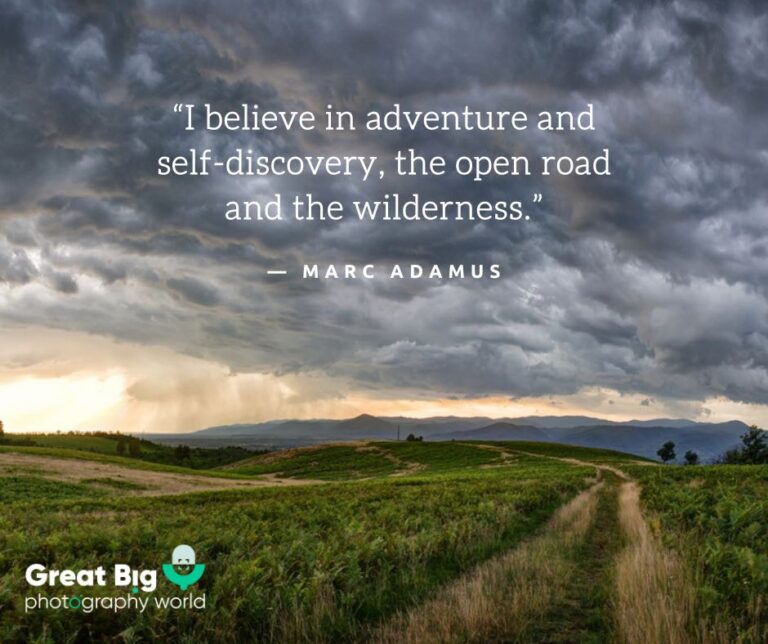149 Inspirational Photography Quotes to Ignite Your Creativity