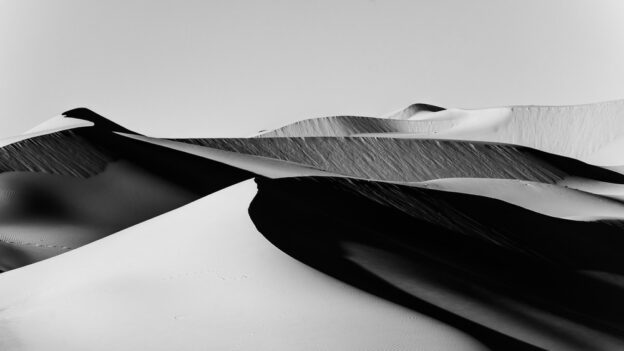 Black and White Photography: A Beginner’s Guide