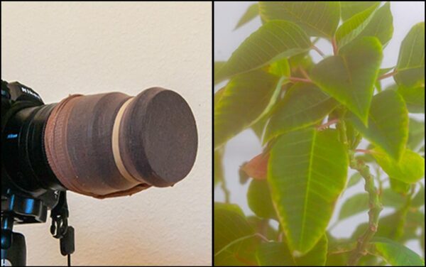 32 Effective Photography Hacks and Tricks