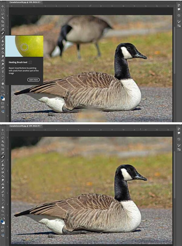 32 Effective Photography Hacks and Tricks
