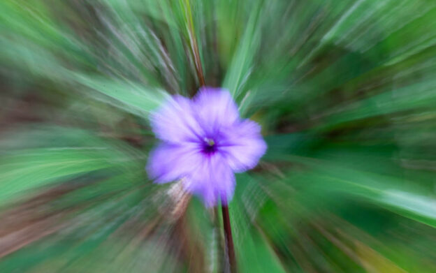 Intentional Camera Movement: A Complete Guide