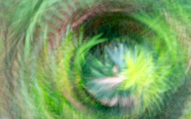 Intentional Camera Movement: A Complete Guide