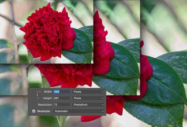 How to Resize an Image