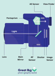 The Human Eye vs. Camera: A Detailed Comparison