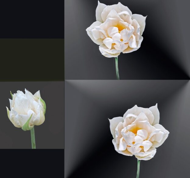 Triptych Photography: How to Think in Threes