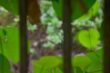 Triptych Photography: How to Think in Threes