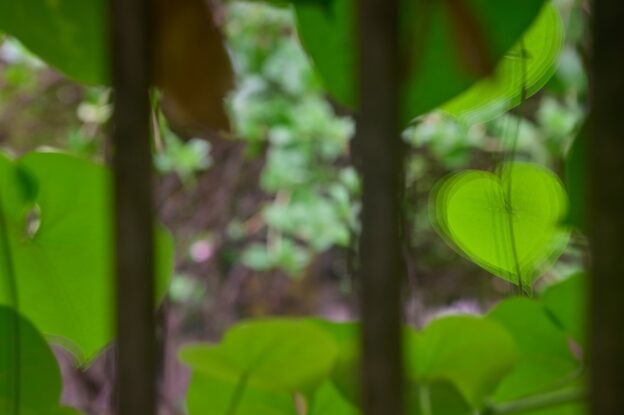 Triptych Photography: How to Think in Threes