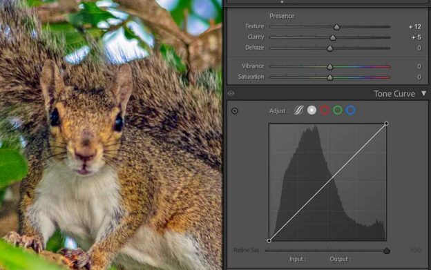 Highlights, Shadows and Midtones in Photography