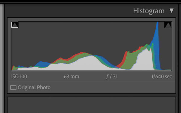 Highlights, Shadows and Midtones in Photography