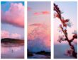 Triptych Photography: How to Think in Threes