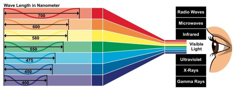 The Human Eye vs. Camera: A Detailed Comparison