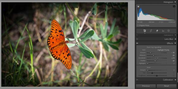 Lens Vignetting: Causes, Types, and Solutions