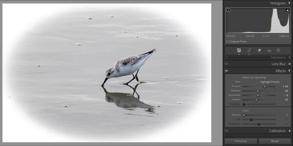 Lens Vignetting: Causes, Types, and Solutions