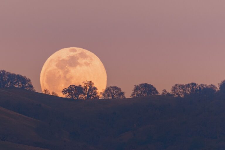 Heat Distortion: Causes, Effects, and Tips for Clearer Photos