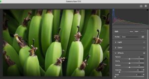 Lens Vignetting: Causes, Types, and Solutions
