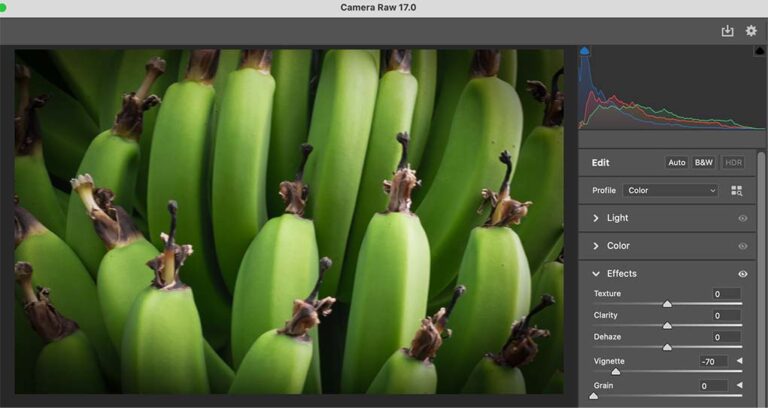 Lens Vignetting: Causes, Types, and Solutions