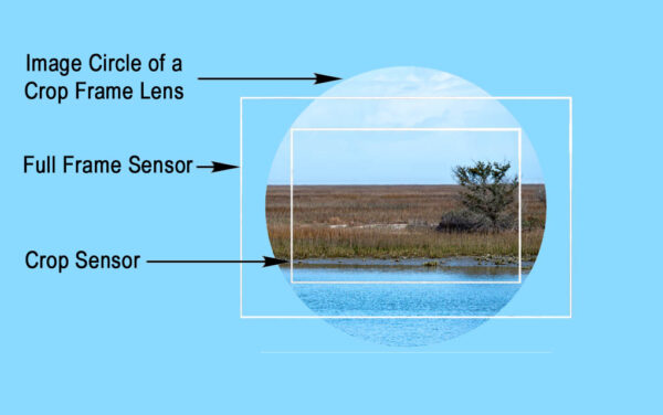 Lens Vignetting: Causes, Types, and Solutions