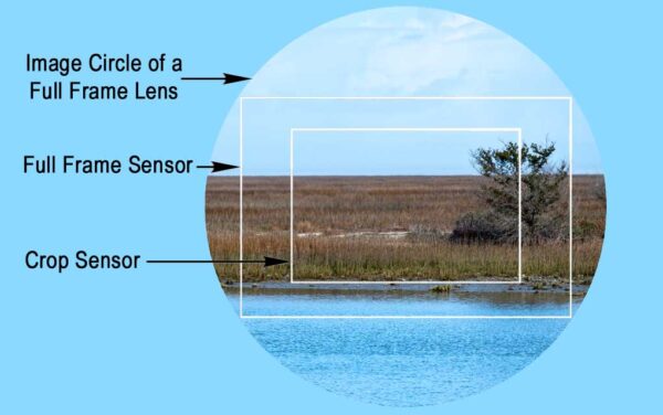Lens Vignetting: Causes, Types, and Solutions